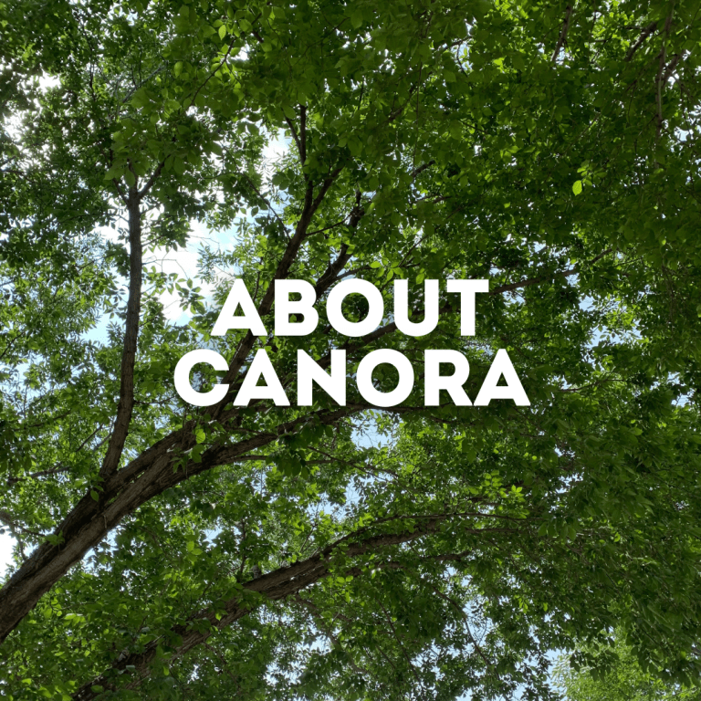 CANORA COMMUNITY LEAGUE – Edmonton, Alberta